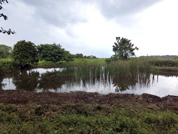 Exploring Kranji Countryside, Singapore's rural corner of farms and ...