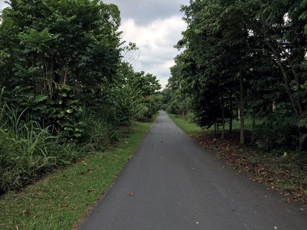 Exploring Kranji Countryside, Singapore's rural corner of farms and ...