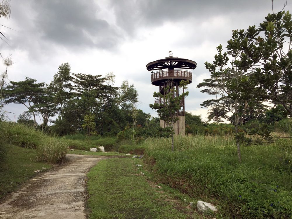Exploring Kranji Countryside, Singapore's rural corner of farms and ...