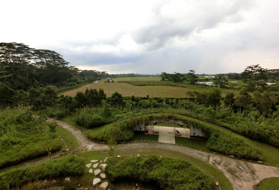 Exploring Kranji Countryside, Singapore's rural corner of farms and ...