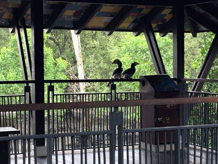 Exploring Kranji Countryside, Singapore's rural corner of farms and ...