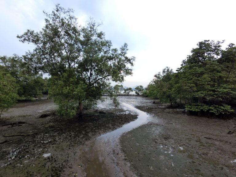 Exploring Kranji Countryside, Singapore's rural corner of farms and ...