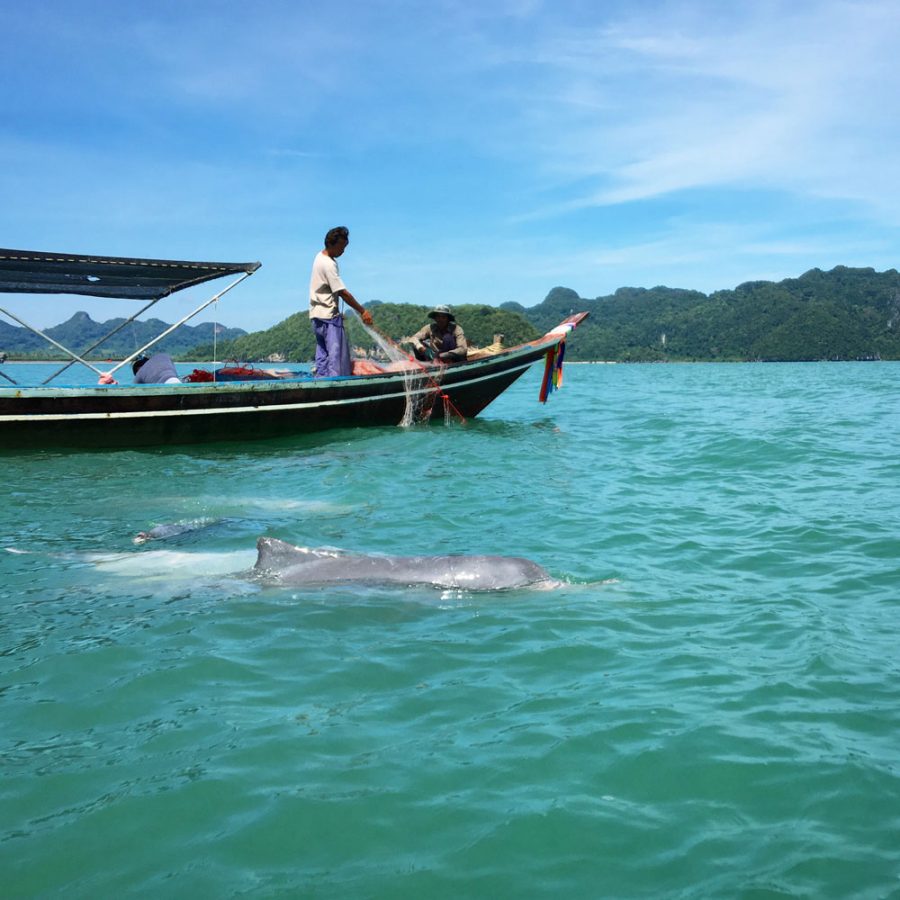 Things to do in Khanom, Thailand's secret beach paradise - The ...