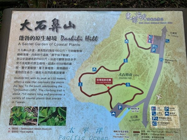 Hopping on the Hualien East Coast Shuttle bus: A review 洄瀾東海岸線 - The ...