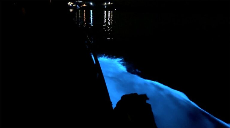 How to see the Blue Tears in Matsu Islands, Taiwan 马祖蓝眼泪 - The ...