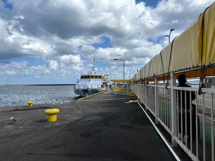 Sado Island road trip guide: Toki birds, tub boats and gold mines 佐渡島 ...